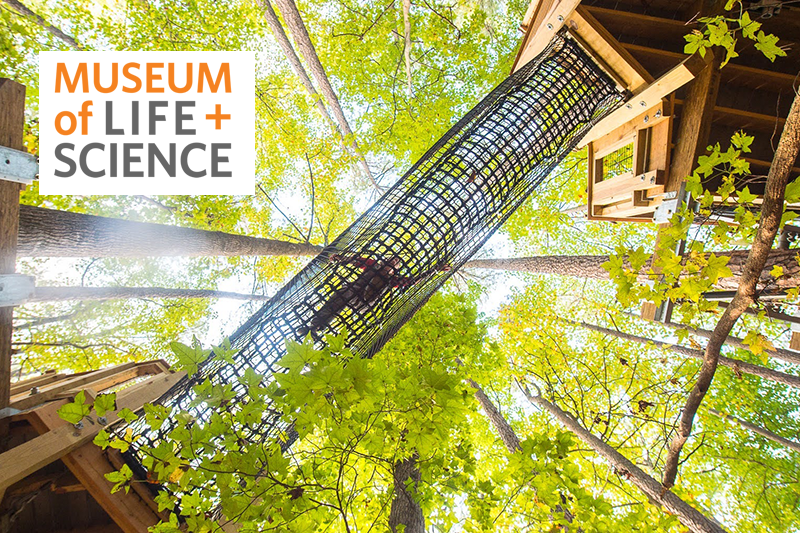 Museum of Life and Science – Cambio